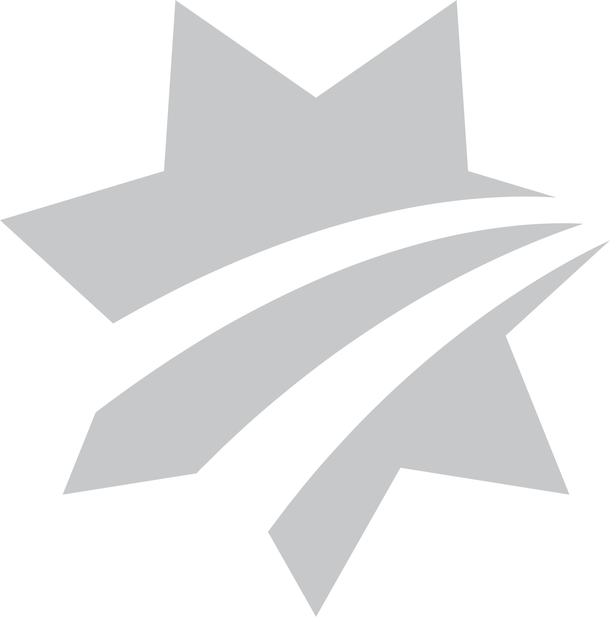 Who We Serve Lead Star Security